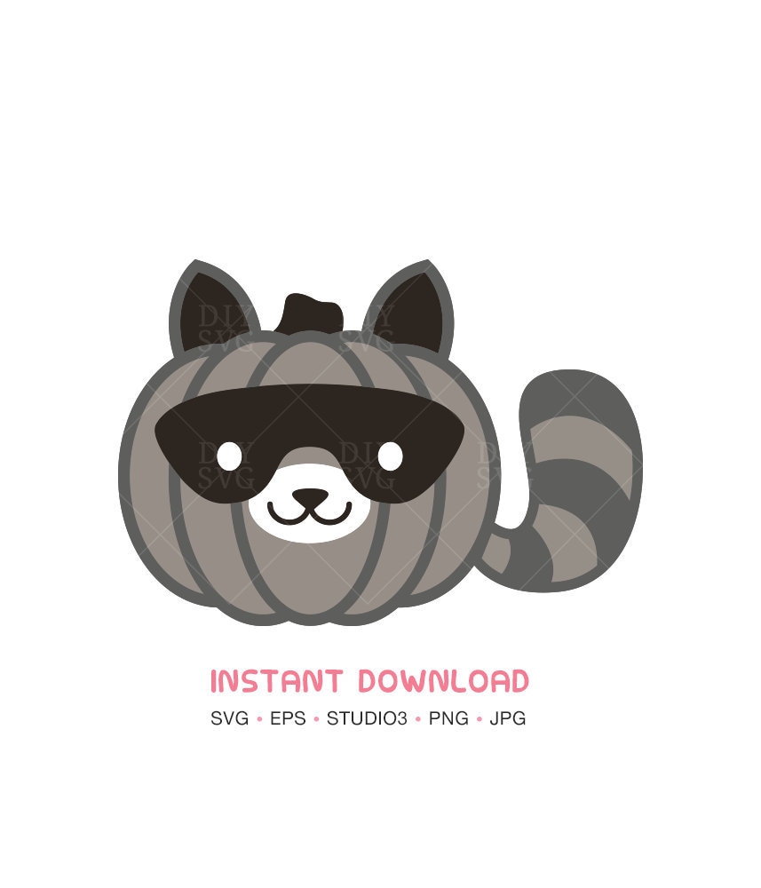 Party & Gifting Paper, Party & Kids Raccoon Pumpkin Raccoon svg Raccoon ...