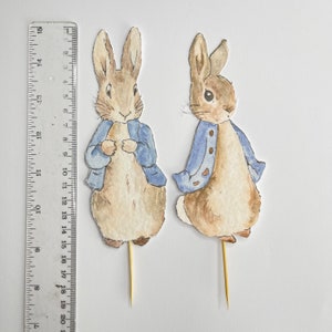 2 Large Peter Rabbit Cake Toppers Cake Topper Baby Shower Birthday ...