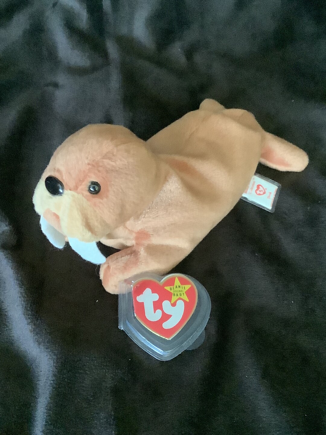 Ty Tusk Iconic Initial Issue New Mwmt PVC More INVESTMENT QUALITY - Etsy