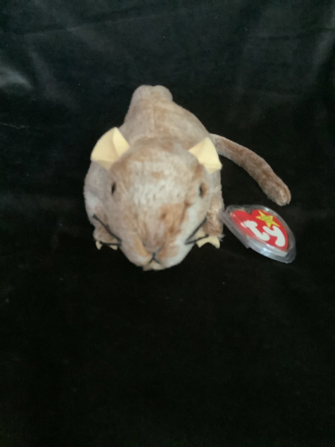 Ty Tiptoe Ultra Rare Iconic Original Issue Dual Tush Tags New Pe 1st Ed ...