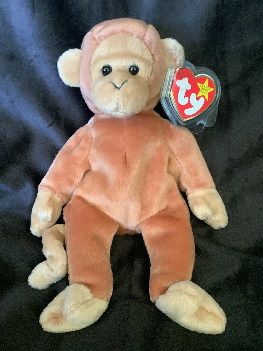 TY Bongo Tan Tail Iconic Initial Issue Dual Tush Tags New Mwmt More ...