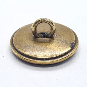 Antique Button, Beetle and Cut Steel Detail, 14.75mm, Circa 1890 ...