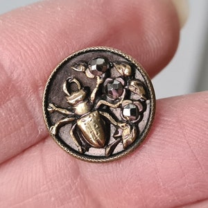 Antique Button, Beetle and Cut Steel Detail, 14.75mm, Circa 1890 ...