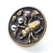 Antique Button, Beetle and Cut Steel Detail, 14.75mm, Circa 1890 ...