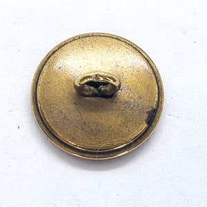 Antique Button, Beetle and Cut Steel Detail, 14.75mm, Circa 1890 ...