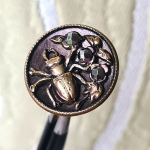 Antique Button, Beetle and Cut Steel Detail, 14.75mm, Circa 1890 ...