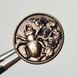 Antique Button, Beetle and Cut Steel Detail, 14.75mm, Circa 1890 ...