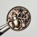 Antique Button, Beetle and Cut Steel Detail, 14.75mm, Circa 1890 ...