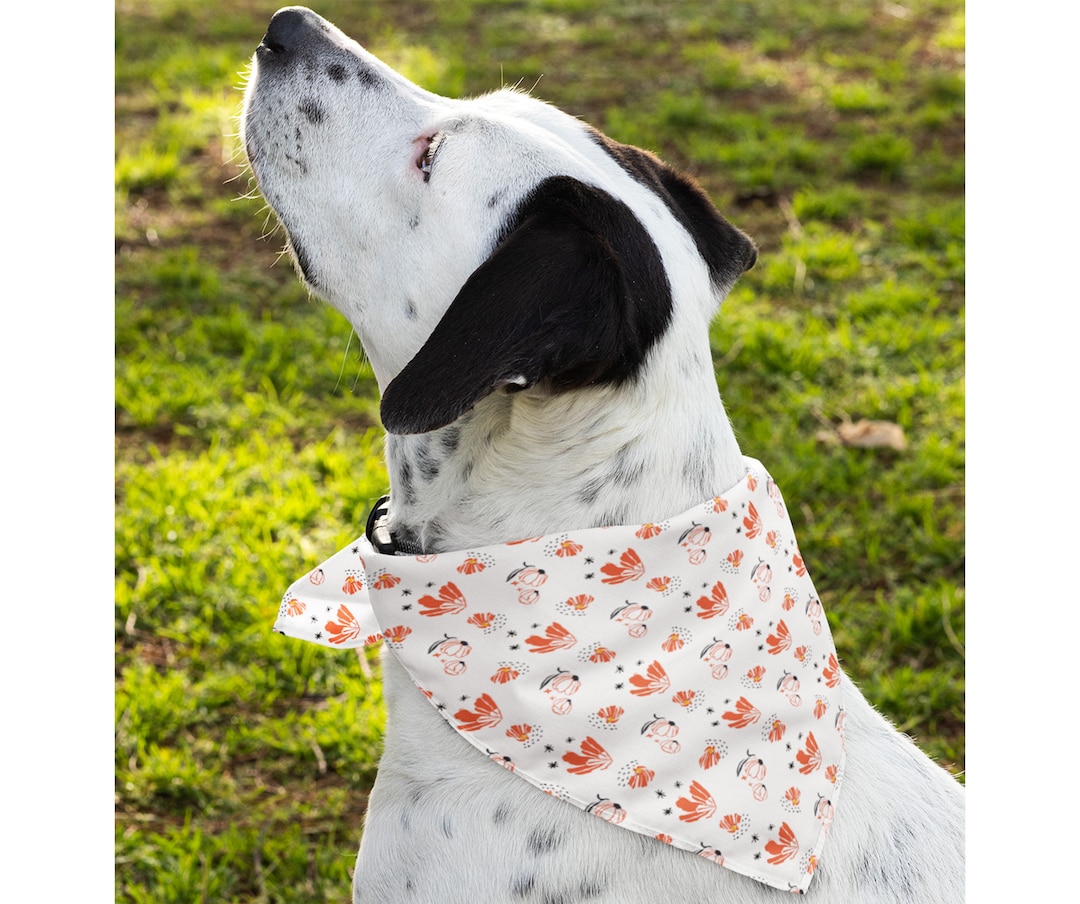 Pet Gifts Bandanas for Dogs Gift Bandanas for Cats Fashion Dog Bandana ...