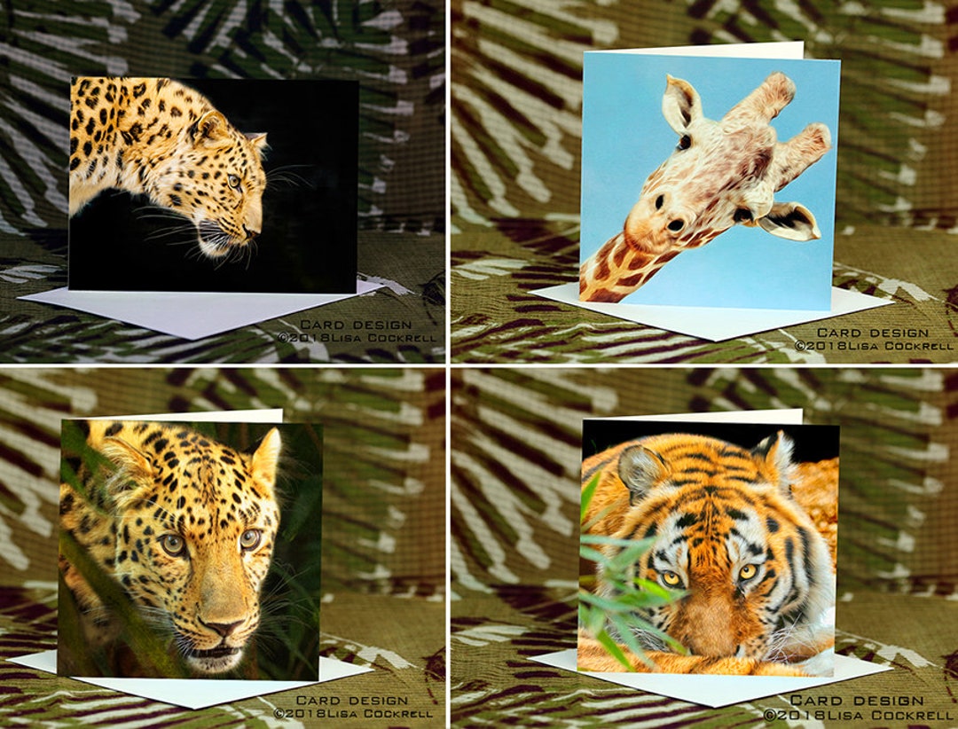 Exclusive Handmade Nature Art Greetings Cards Leopard, Giraffe & Tiger ...