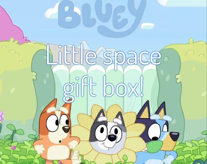 Bluey Little Space Gift Box WITH Adult Pacifier and Backpack! - Etsy