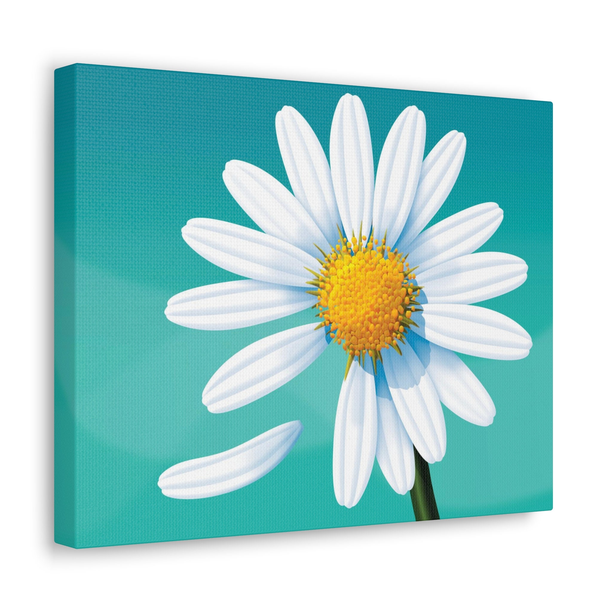 Daisy Art Print Wedding Flower Print Daisy Canvas Gift for Couple Daisy ...