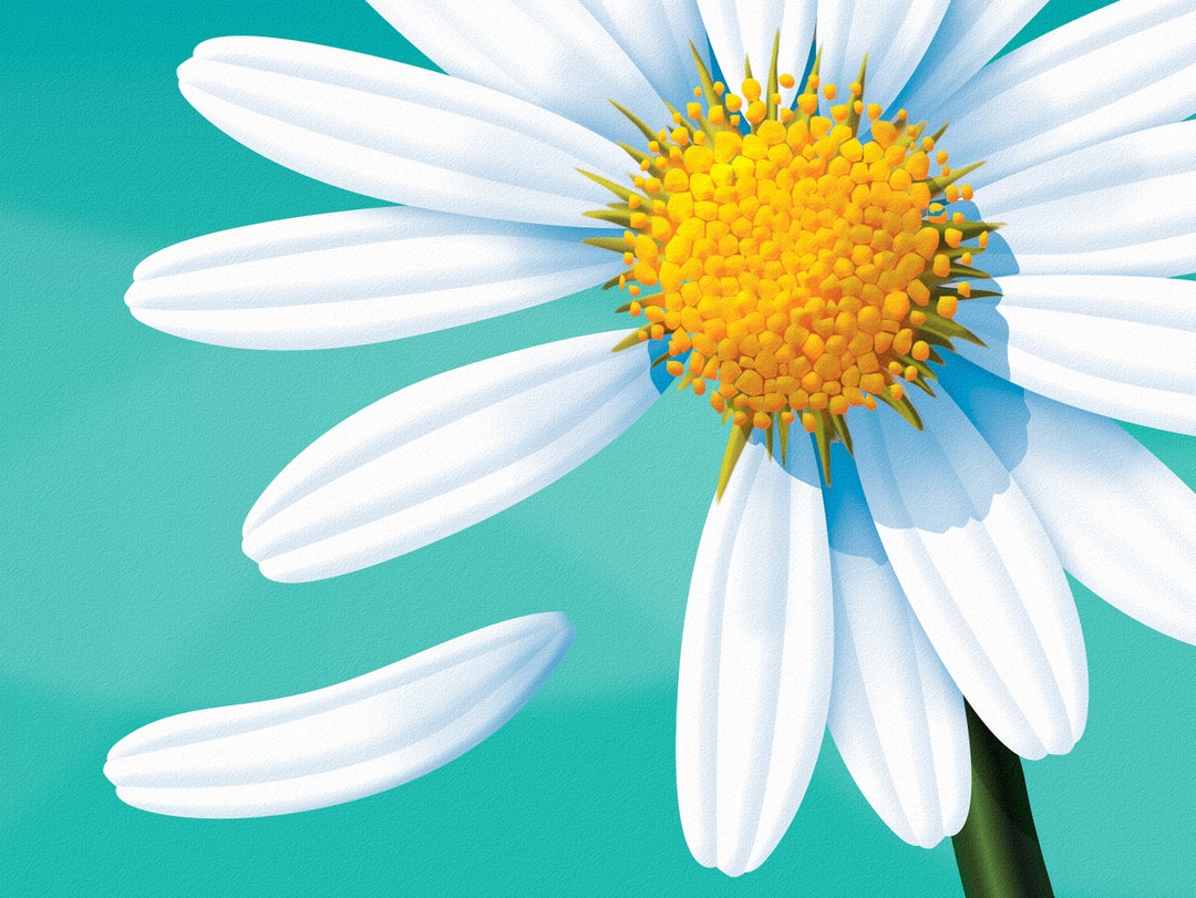 Daisy Art Print Wedding Flower Print Daisy Canvas Gift for Couple Daisy ...