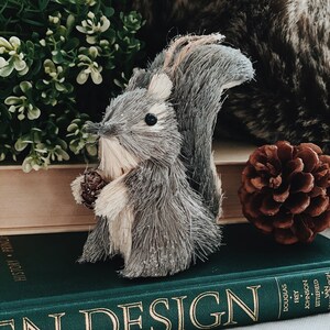 Squirrel Ornament - Etsy