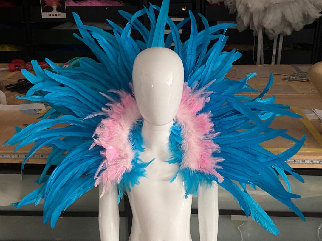 Child-sized Costume, Feather Collar, and Tail Bustle, Carnival, School ...