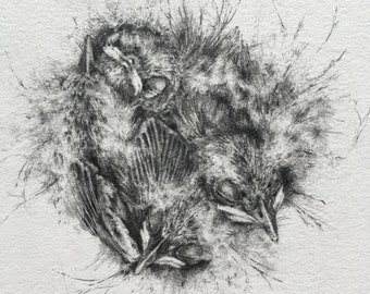Bird Blob 1 / Graphite Drawing / Tiny Art | Etsy