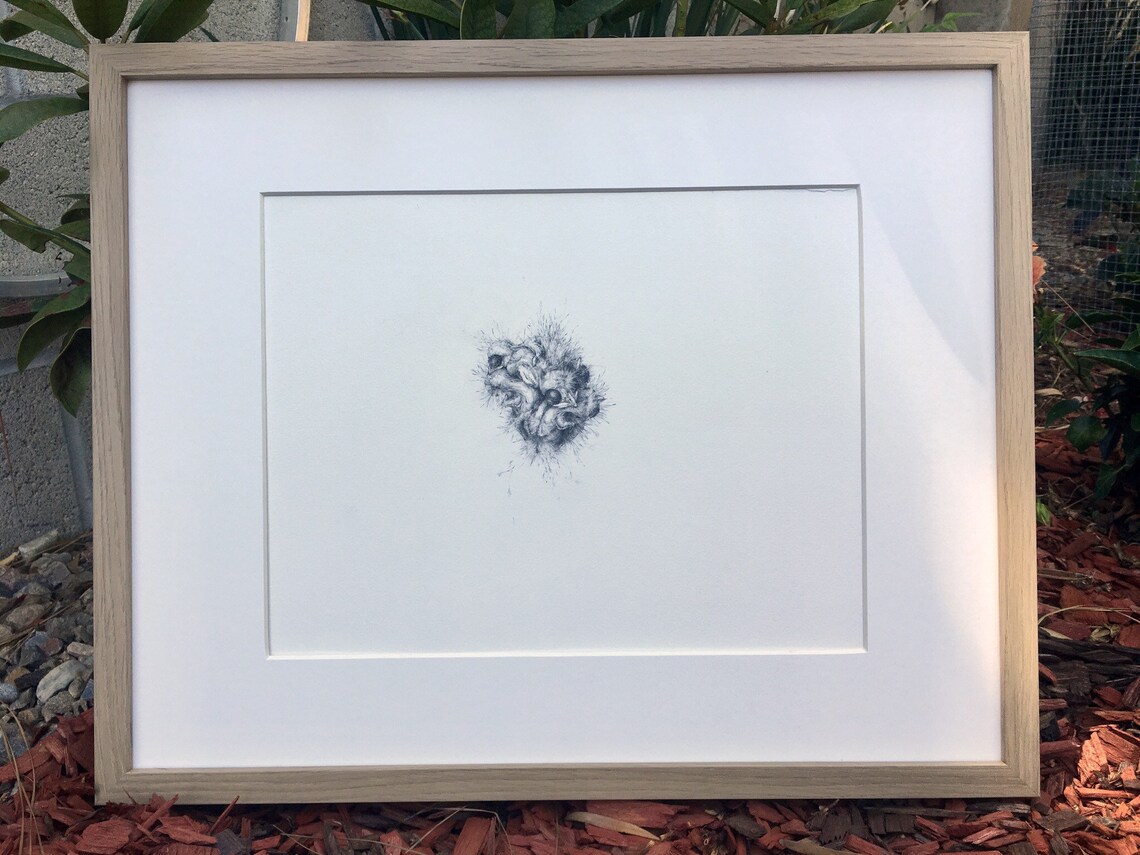 Bird Blob 1 / Graphite Drawing / Tiny Art - Etsy