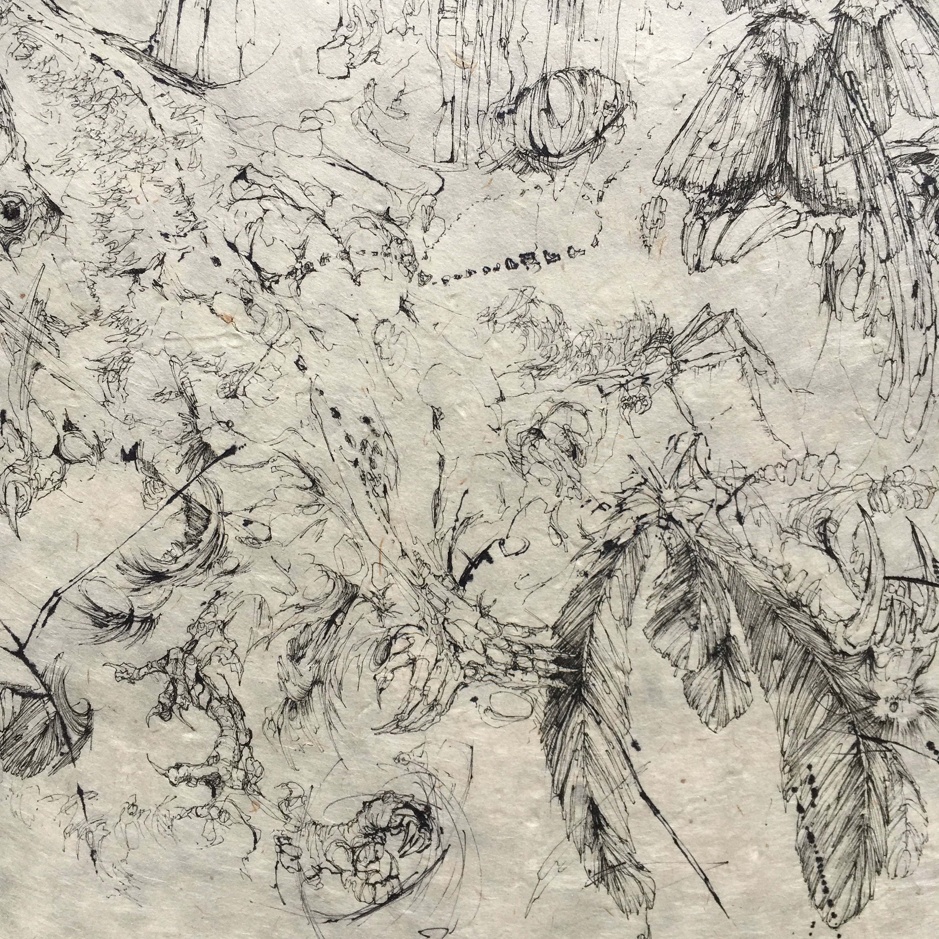 Abstract Nature Drawing / Original Art - Etsy