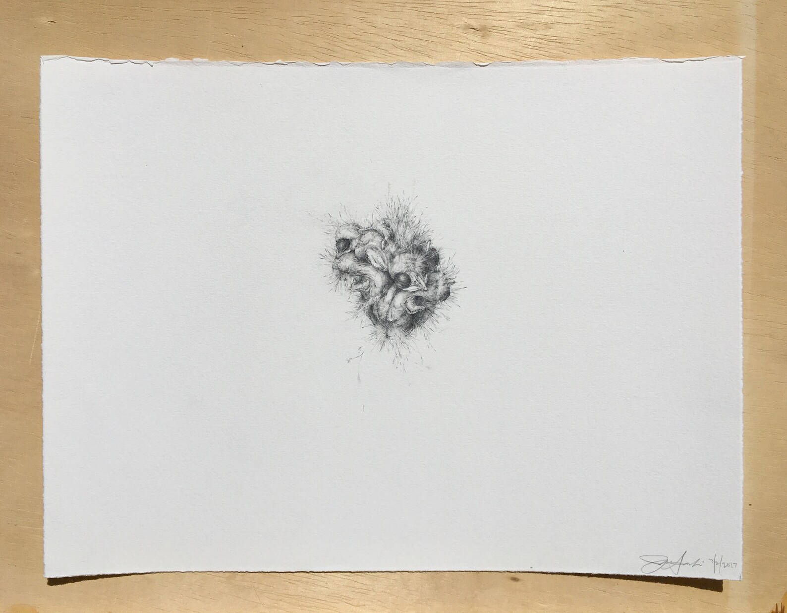 Bird Blob 1 / Graphite Drawing / Tiny Art - Etsy