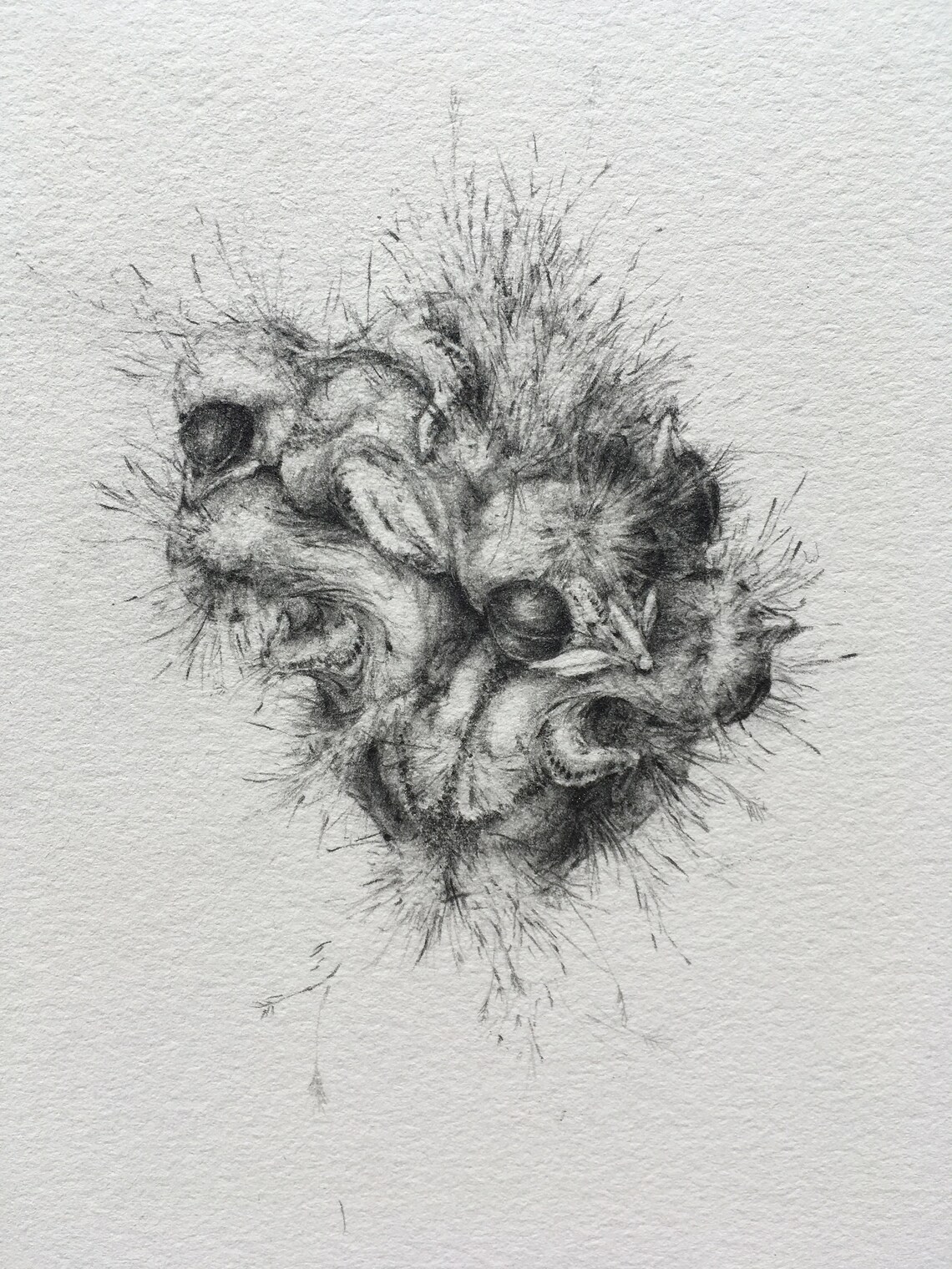 Bird Blob 1 / Graphite Drawing / Tiny Art - Etsy