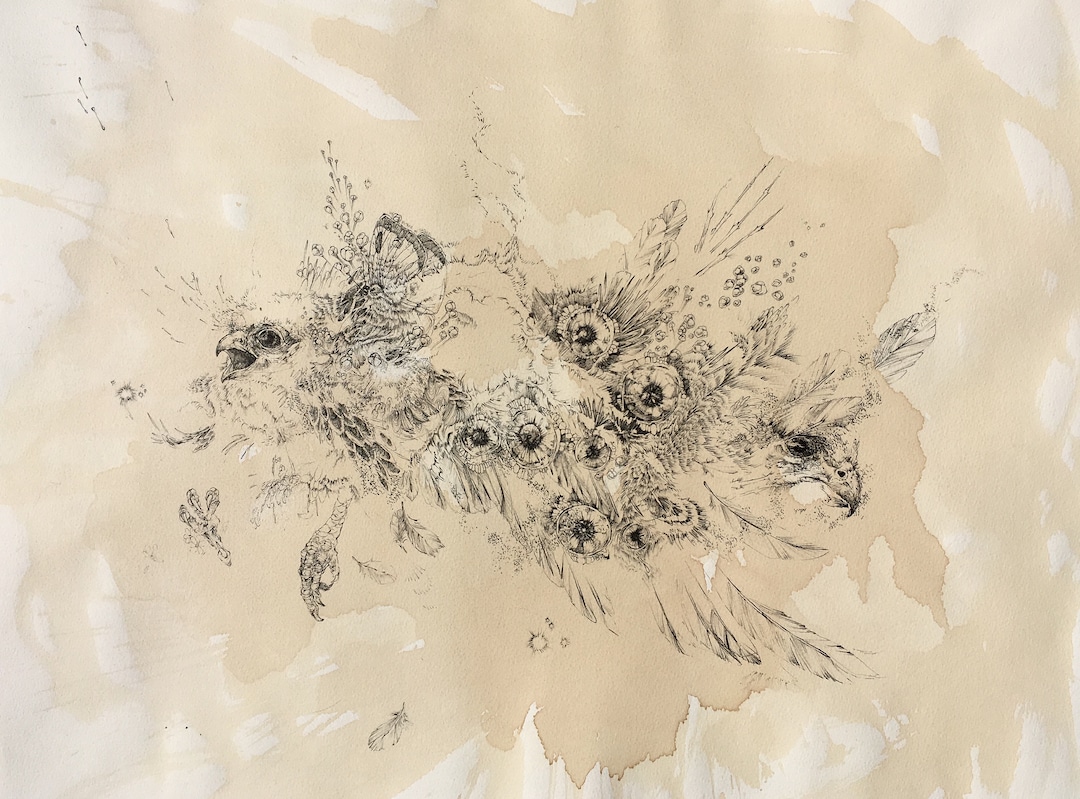 Abstract Nature Drawing / Original / Ink on Paper - Etsy