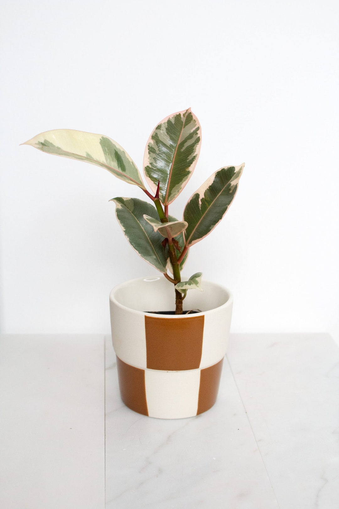 Checkerboard Pot Brown Retro Planter for Indoor Plants and Home Decor ...