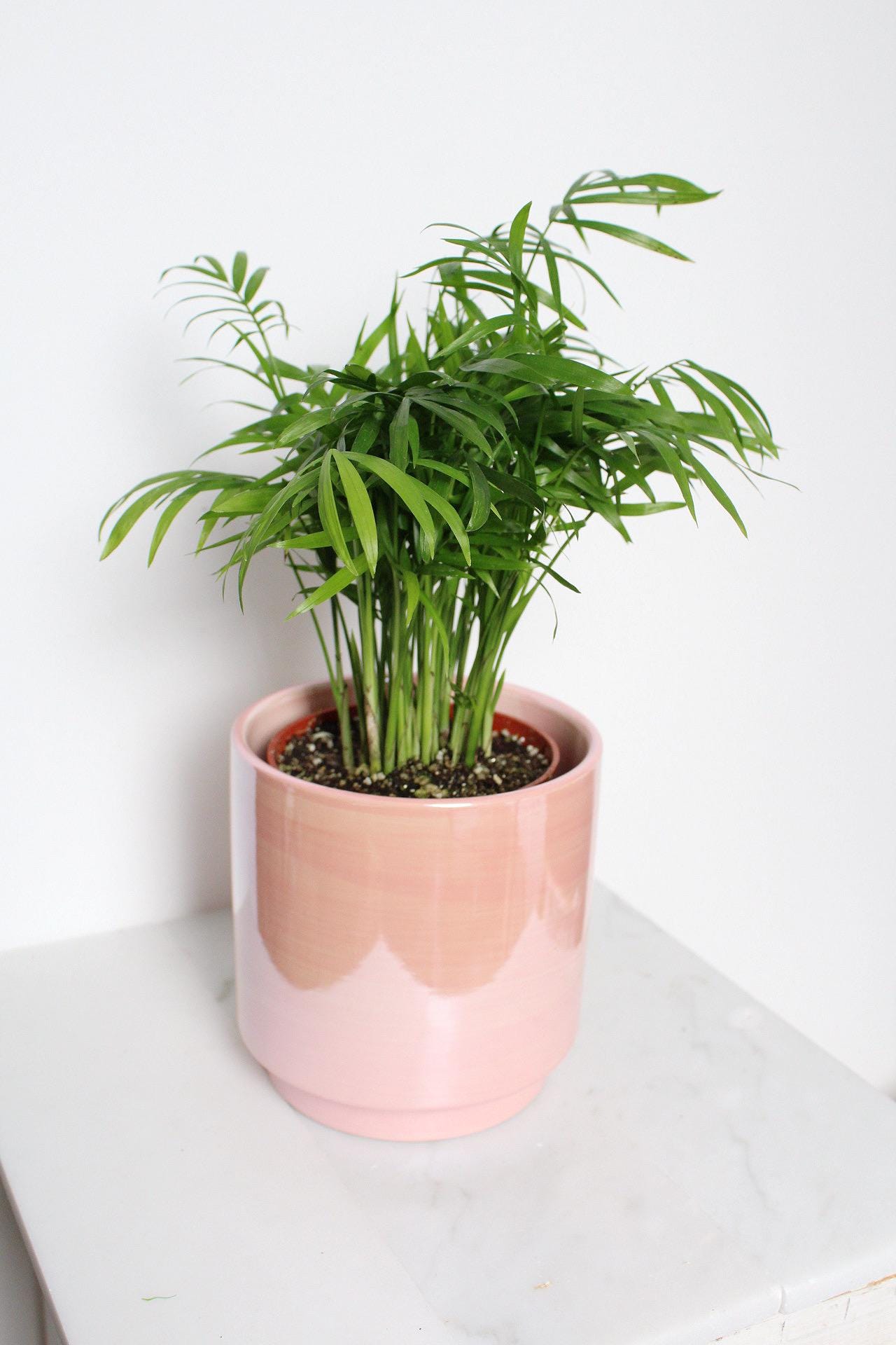 Modern Home Pot Pink Ceramic Flower Container for Bedroom Accent Gift ...