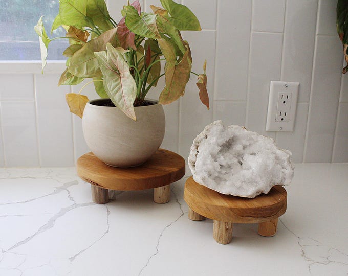 Small Plant Stand Indoor Plant Display Windowsill Decor Plant Lover ...