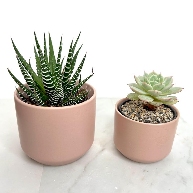 Pink Ceramic Planter - Etsy