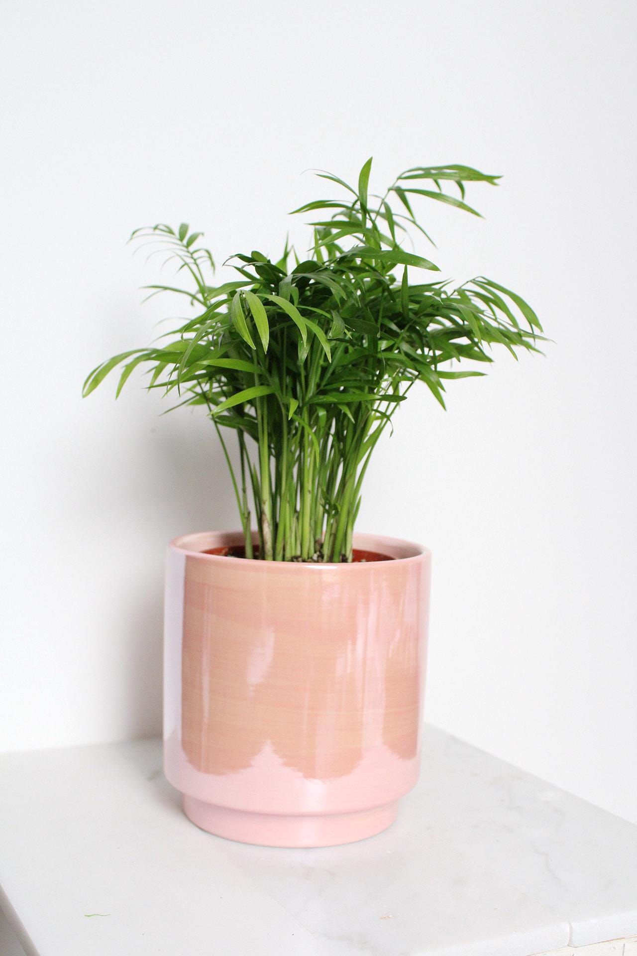 Modern Home Pot Pink Ceramic Flower Container for Bedroom Accent Gift ...