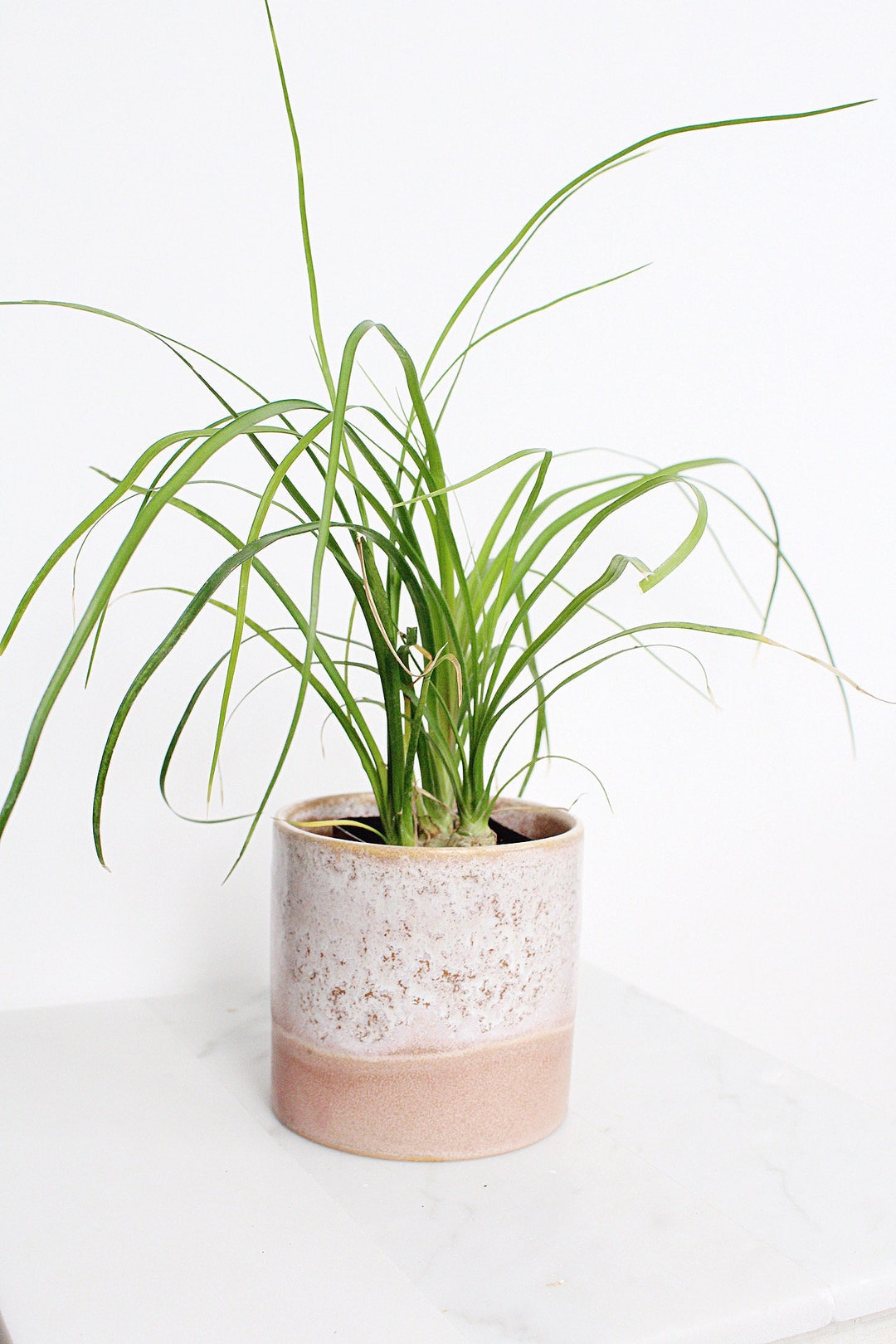 Neutral Boho Modern Blush Pink Pot Planter | Himalaya Pot - Etsy