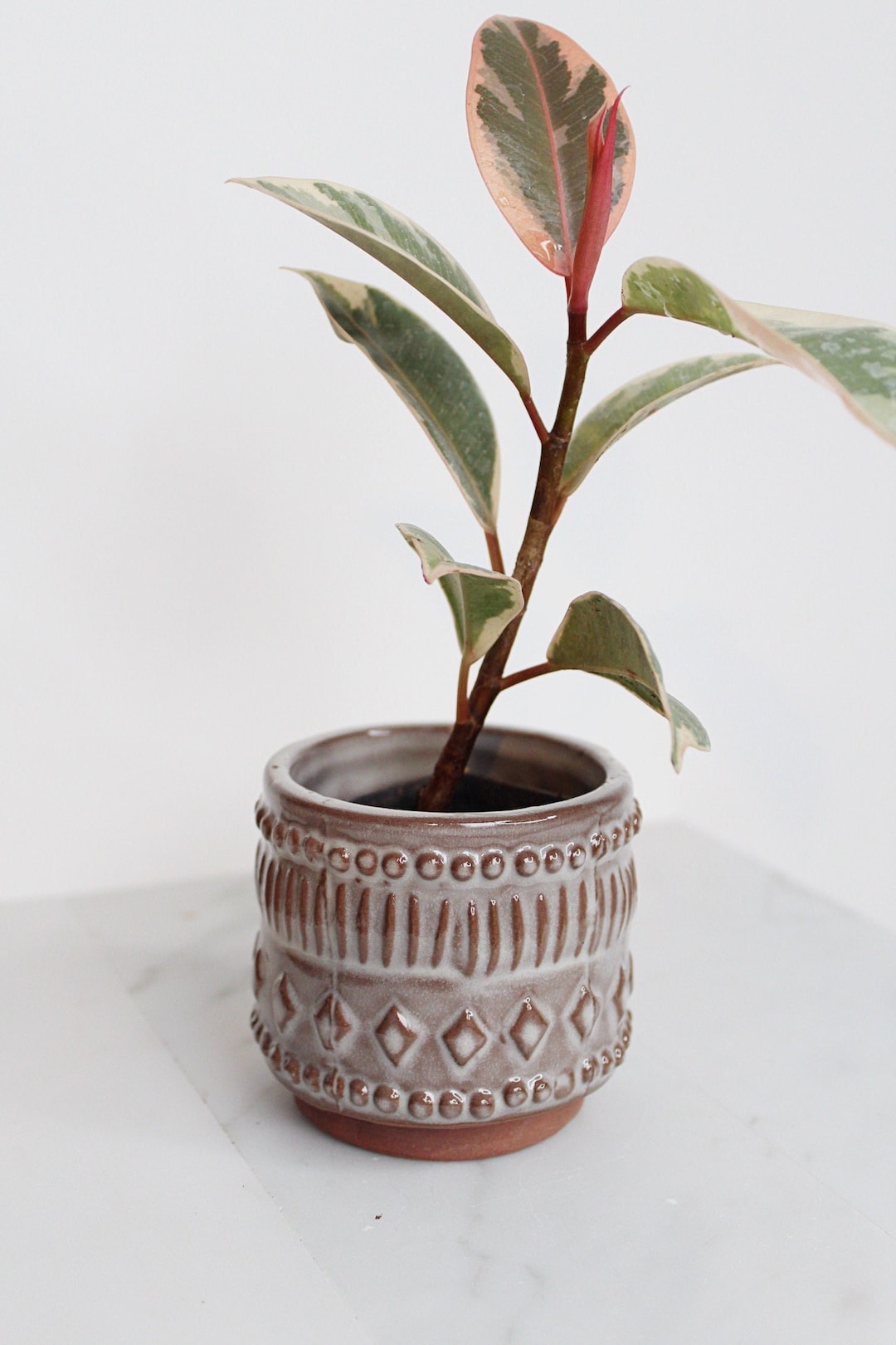 Boho Pattern Planter Pottery Neutral Brown Modern Trendy Ceramic Pot ...