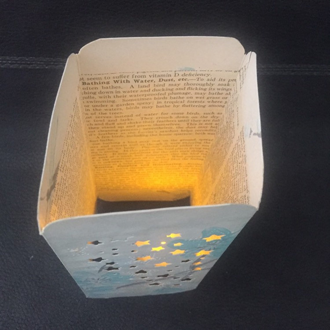 Book Paper Luminary Party Luminary Book Themed Gifts | Etsy
