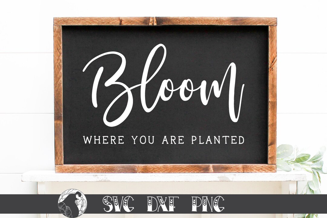 Bloom Where You Are Planted SVG, Positive Quote, Farmhouse Sign Designs ...