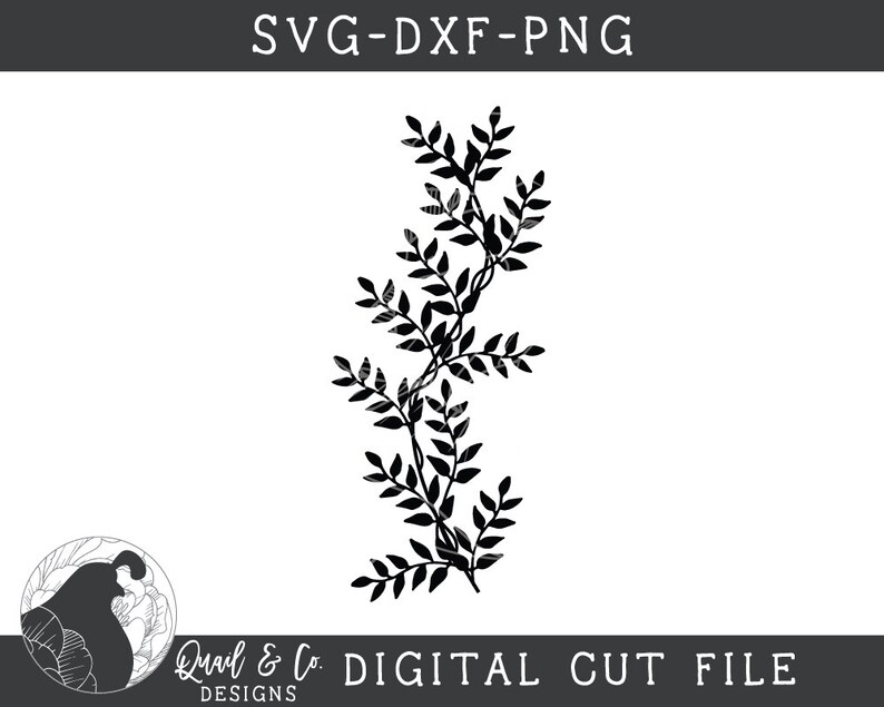Vine SVG Branch svg Botanical Sign svg Floral Cut File | Etsy