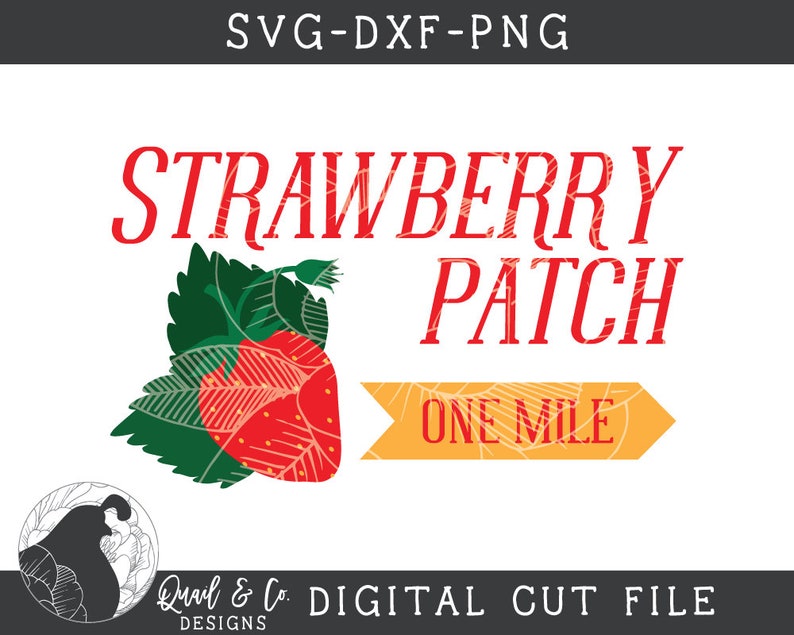 Summer Sign Set SVG Bundle Strawberry Patch Svg Strawberry - Etsy