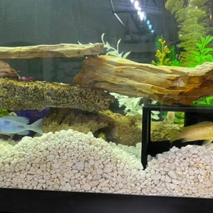 Corner Fish Aquarium Cave Hide With Viewing Window - Etsy