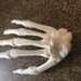Skeleton Human Hand (right Hand) Prop Sculpture - Etsy