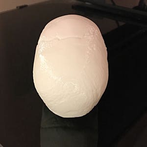 3D Human Skull Replica (2 Sizes Available) - Etsy