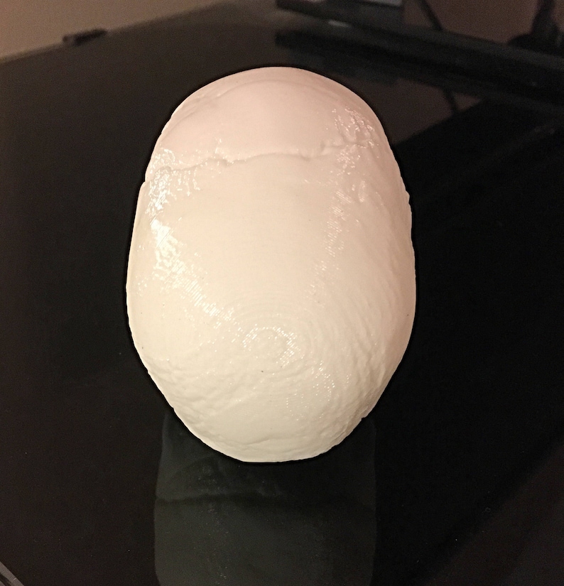 3D Human Skull Replica (2 Sizes Available) - Etsy