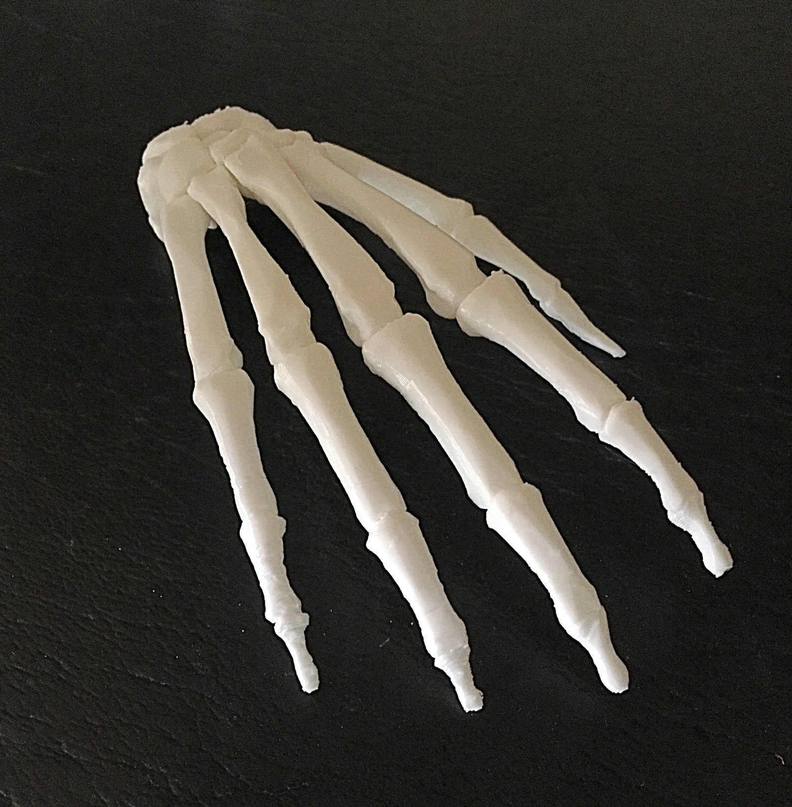 Skeleton Human Hand right Hand Prop Sculpture | Etsy