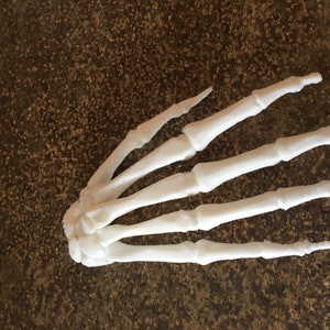 Skeleton Human Hand (right Hand) Prop Sculpture - Etsy
