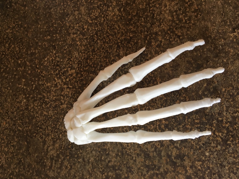 Skeleton Human Hand right Hand Prop Sculpture - Etsy