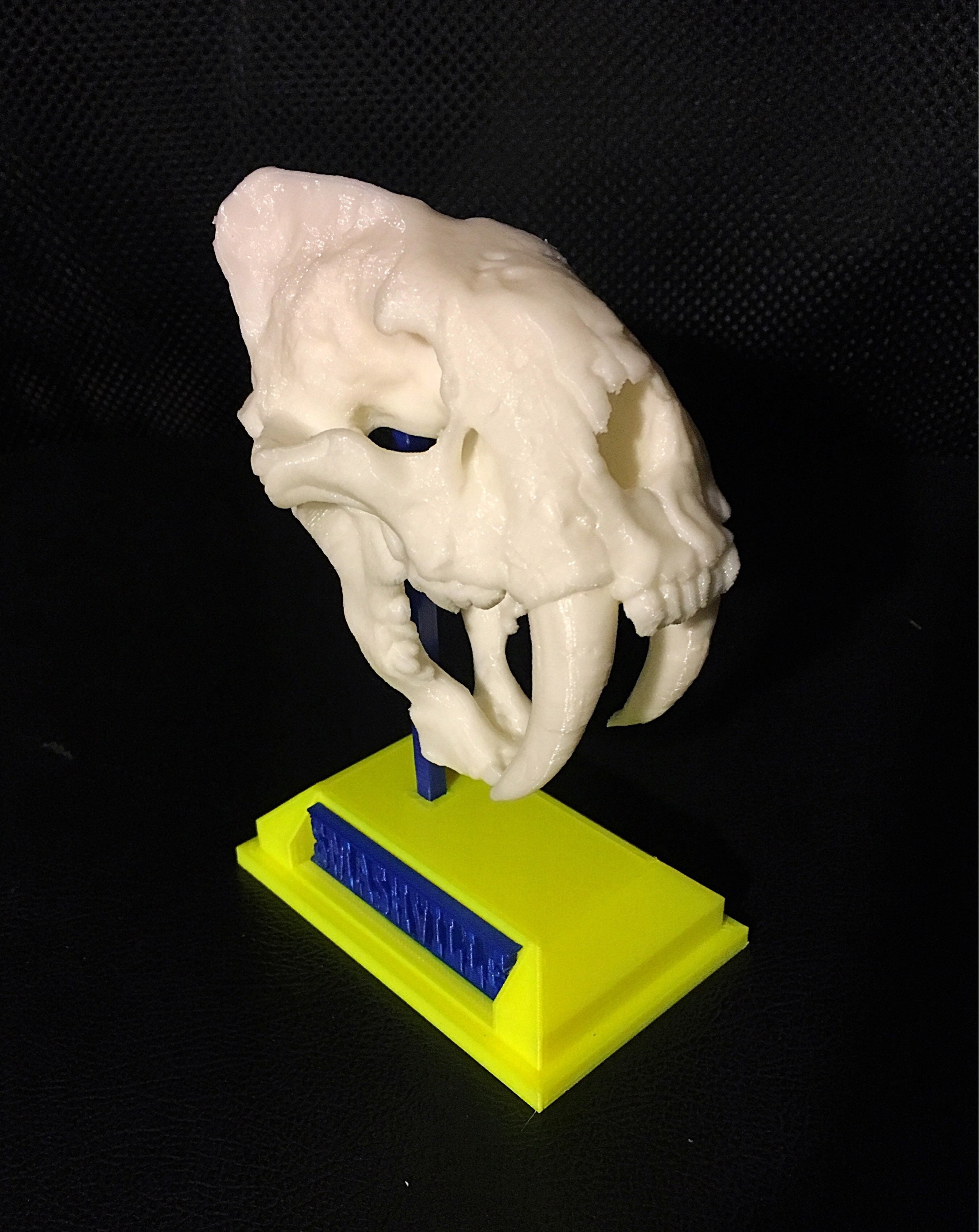 Predators Saber Tooth Skull Inpsired Statue | Etsy