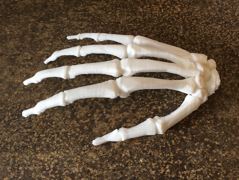 Skeleton Human Hand right Hand Prop Sculpture - Etsy
