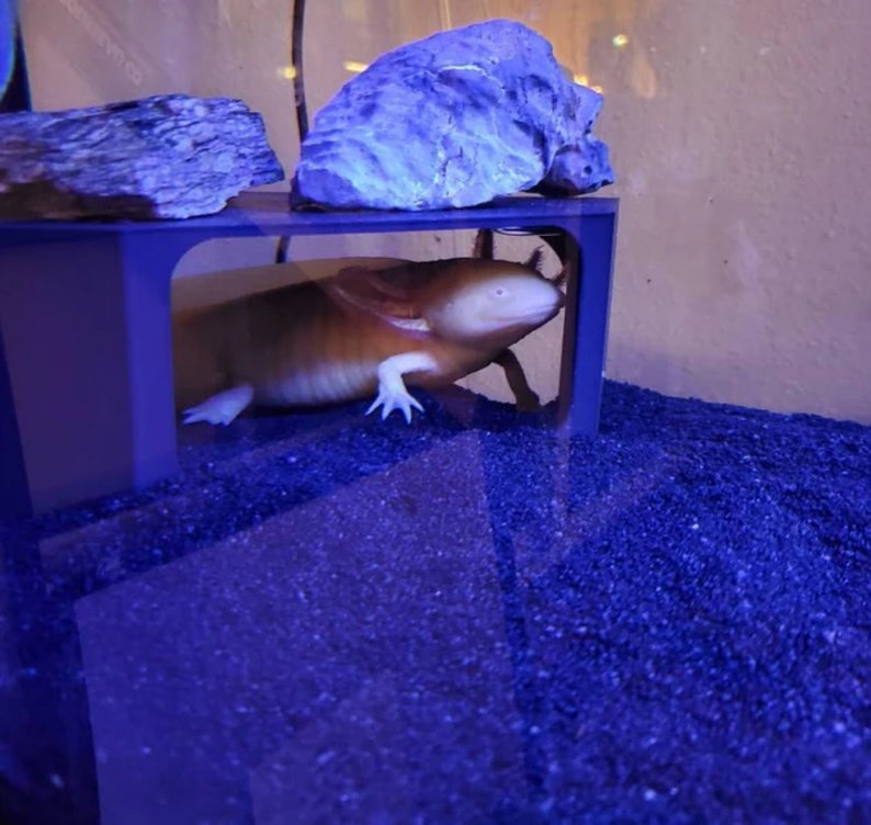 Axolotyl Crayfish Shrimp Aquarium Corner Cave Hide With - Etsy