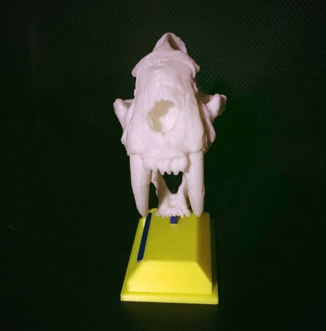 Predators Saber Tooth Skull Inpsired Statue | Etsy