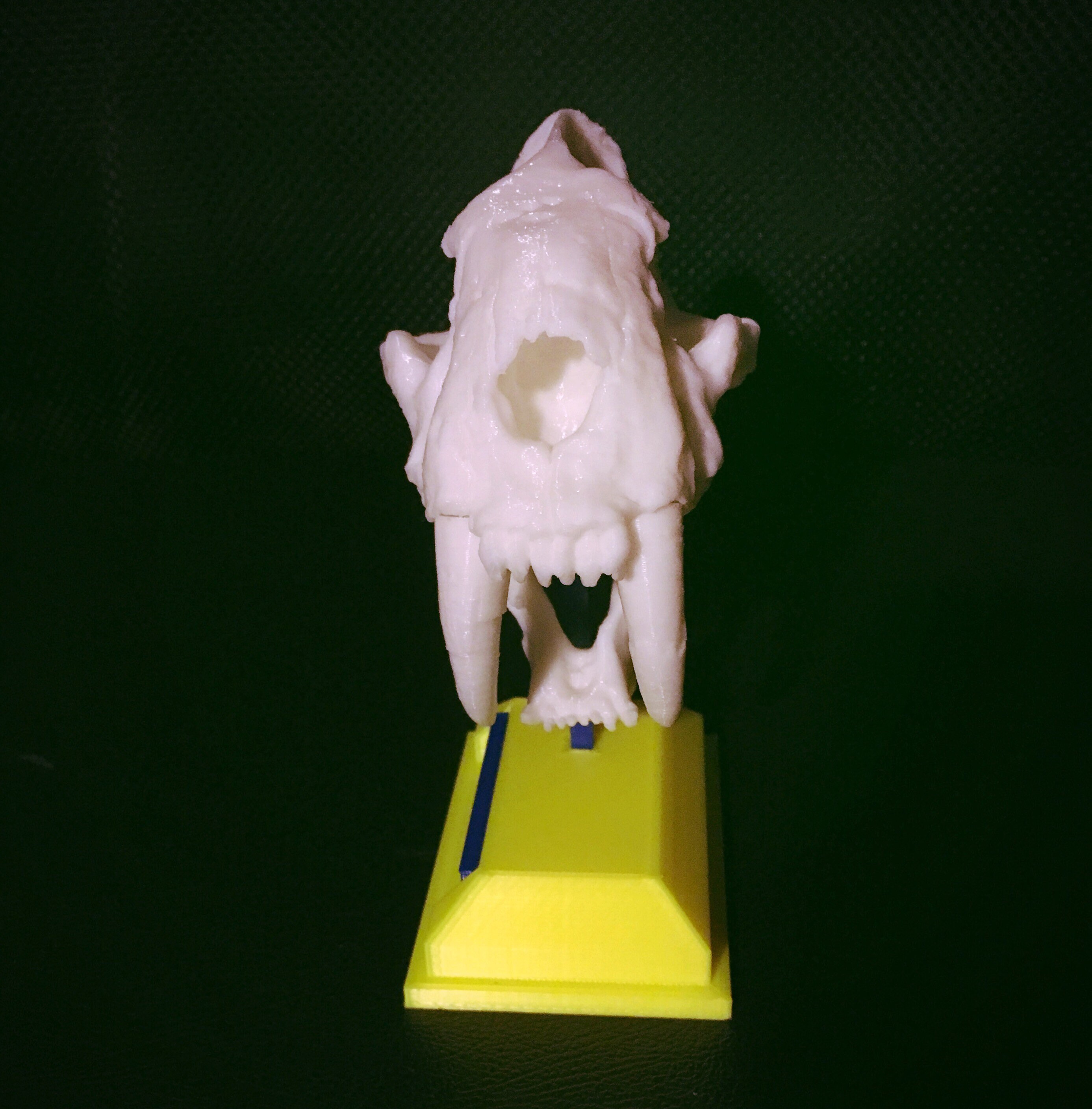 Predators Saber Tooth Skull Inpsired Statue | Etsy