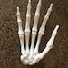Skeleton Human Hand (right Hand) Prop Sculpture - Etsy