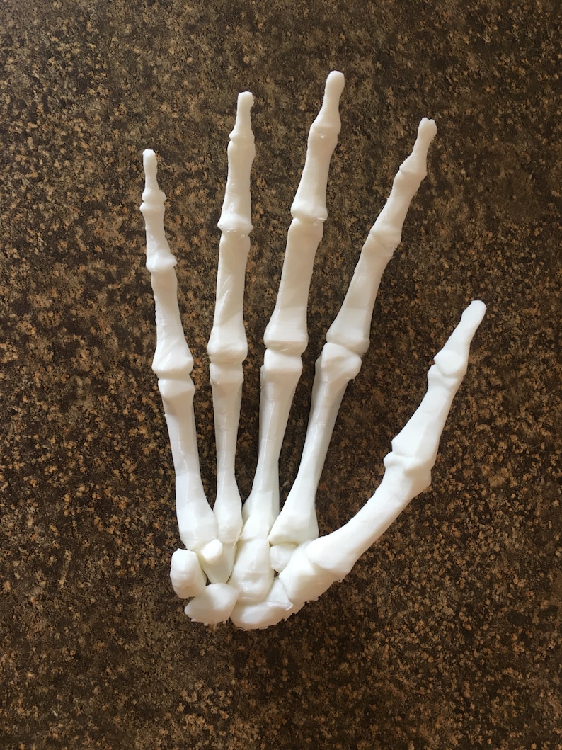 Skeleton Human Hand right Hand Prop Sculpture - Etsy